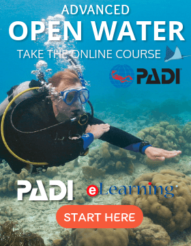 Advanced Open Water Certification | Cayman Diving