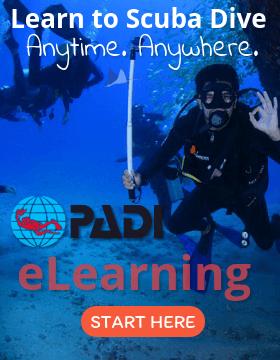 eLearning Scuba Diving Cayman Islands by Living the Dream Divers