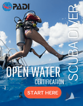 PADI Open water scuba diving certification | Cayman Diving