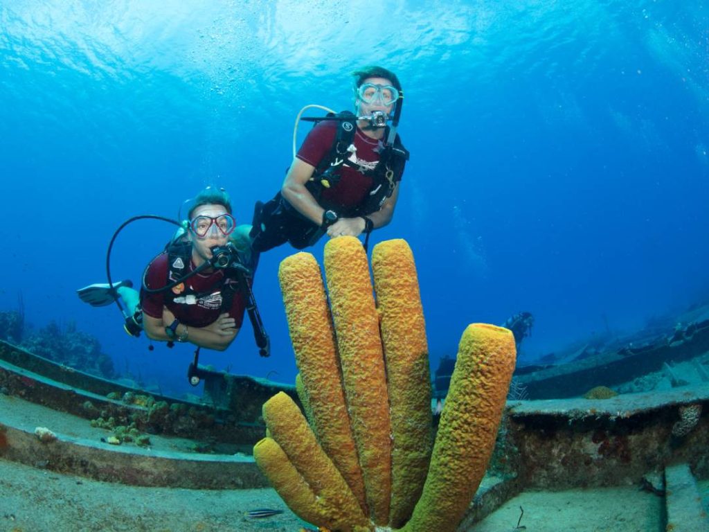 Get Certified with Our Enriched Air Nitrox Course – Now on Special ...